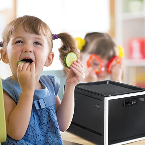 Yalikop Lockable Box Medicine Lock Box for Safe Medication Plastic Clear Lockable Storage Box for Medicine Snacks Food and Home Safety Phone Lockable Storage Bin Refrigerator Locking Container(Black)