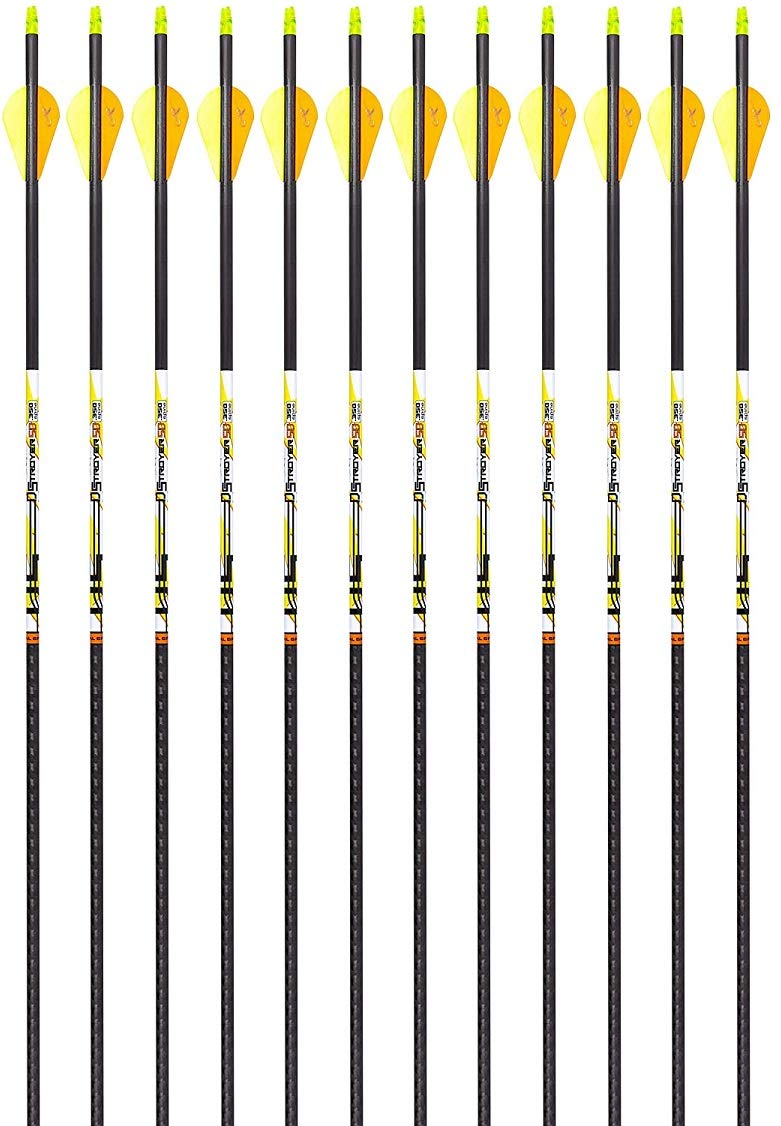 Carbon Express D-Stroyer SD Hunting Arrow Shafts, 12-Pack, Small Diameter .203”ID, High Modulus Carbon Weave, Dual Spine Weight Forward Technology, Laser Checked, Length 31.5” - 300, 350 or 400 Spines
