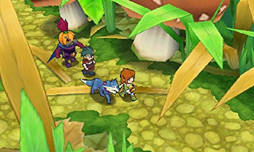 Popolocrois farm