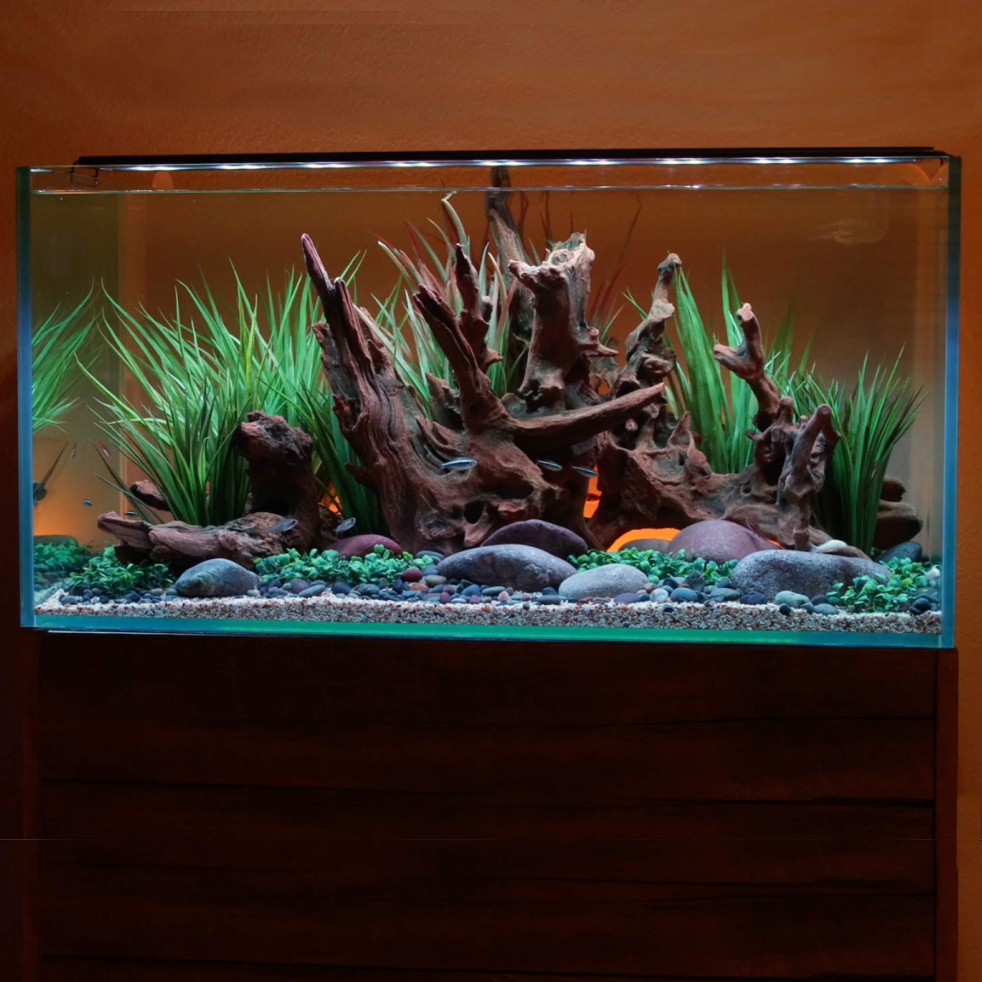 Current USA 36-48" Inch Satellite Freshwater LED Plus Full Spectrum RGB+W Light for Aquariums | Wireless 24 Hour Remote Control Fish Tank Lighting (4507)
