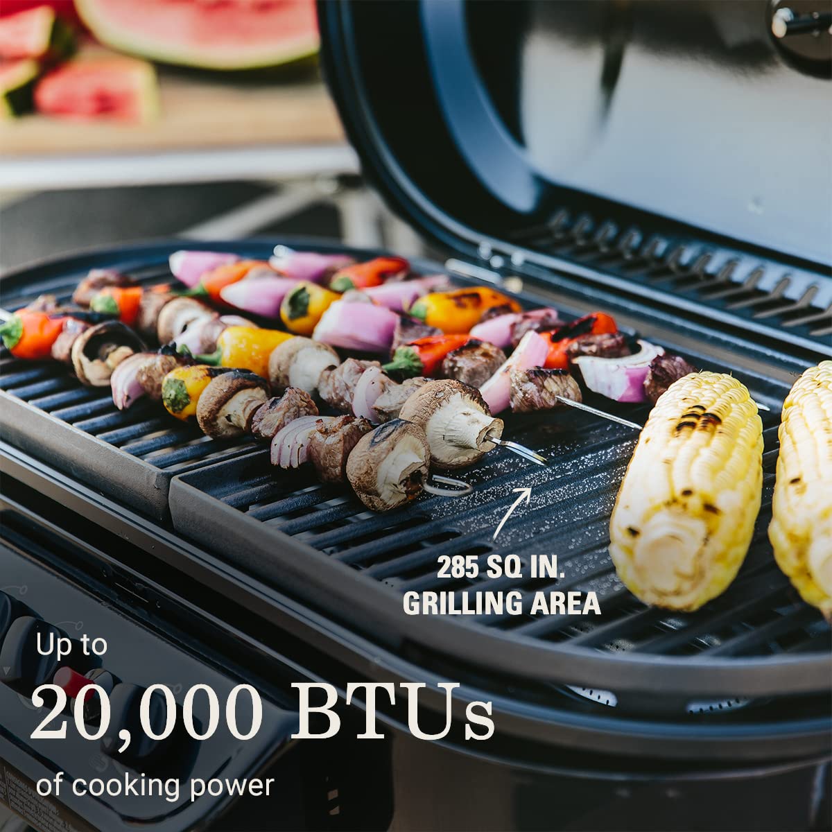 Coleman RoadTrip 285 Portable Propane Grill + Cast Iron Griddle