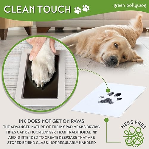 Green Pollywog - Extra-Large Clean Touch Inkless Ink Pad for Pets | Pawprints for Dogs & Cats Non-Toxic | Paw Print Stamp Kit | Dog Paw Print Kit | Cat Footprint Keepsake (2-Pack)