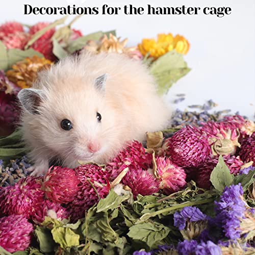 PINVNBY Hamster Bedding, 7OZ Natural Dried Flower & Herb Litter, Small Pet Bedding Small Animal Bedding Mate of Hamster Bedding for Gerbils Mice Lemming Degus (Flower & Grass)