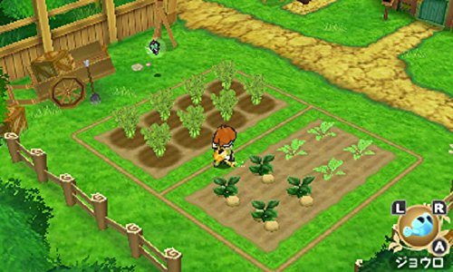 Popolocrois farm