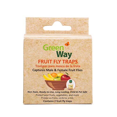 Greenway Traps Fruit Fly Trap (24 Traps) - Indoor and Kitchen Fruit Fly Trap - Eliminates Fruit Fly Infestations - Eliminate Adult Fruit Flies