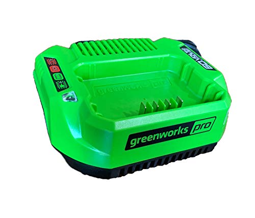 Greenworks Pro 60-Volt GEN2 Lithium Ion (Li-ion) Cordless Power Equipment Battery Charger