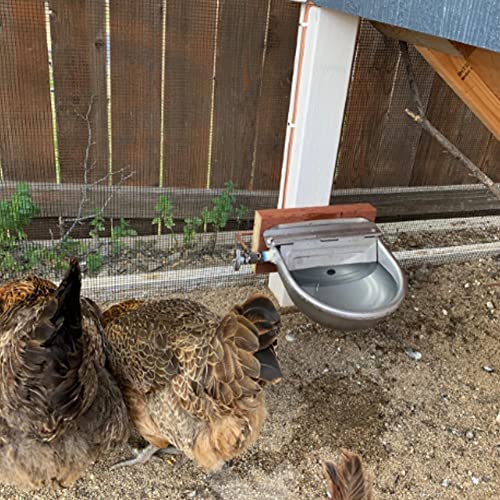 MODUODUO Automatic Waterer Horse Dog Water Bowl Kit Cattle Trough Livestock Pet Auto Watering Dispenser with Drainage Hole