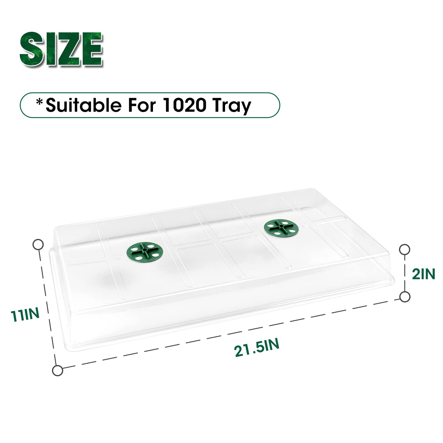 Buzzlett 1020 Clear Plastic Planter Dome humidifying and Insulating for Seedling Microgreens Herbs and More, 6-Pack