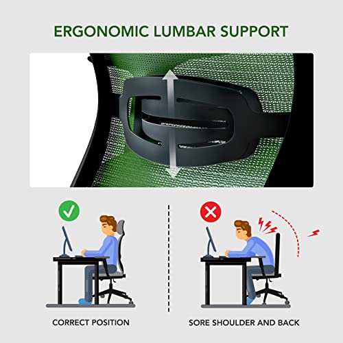 FLEXISPOT Office Chair Home Office Desk Chairs with Wheels Computer Chair with Lumbar Support Swivel Headrest Green