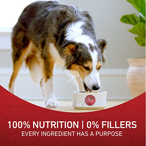 Purina ONE Small Bites Beef and Rice Formula Small Dog Food Dry - 8 lb. Bag
