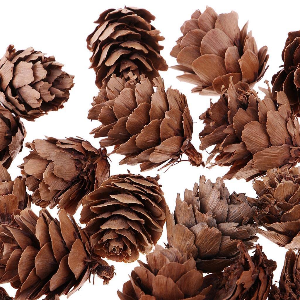 chiwanji 40 Pcs Mini Pine Cones Acorns Dried Flowers Christmas Accents Decor Ornaments