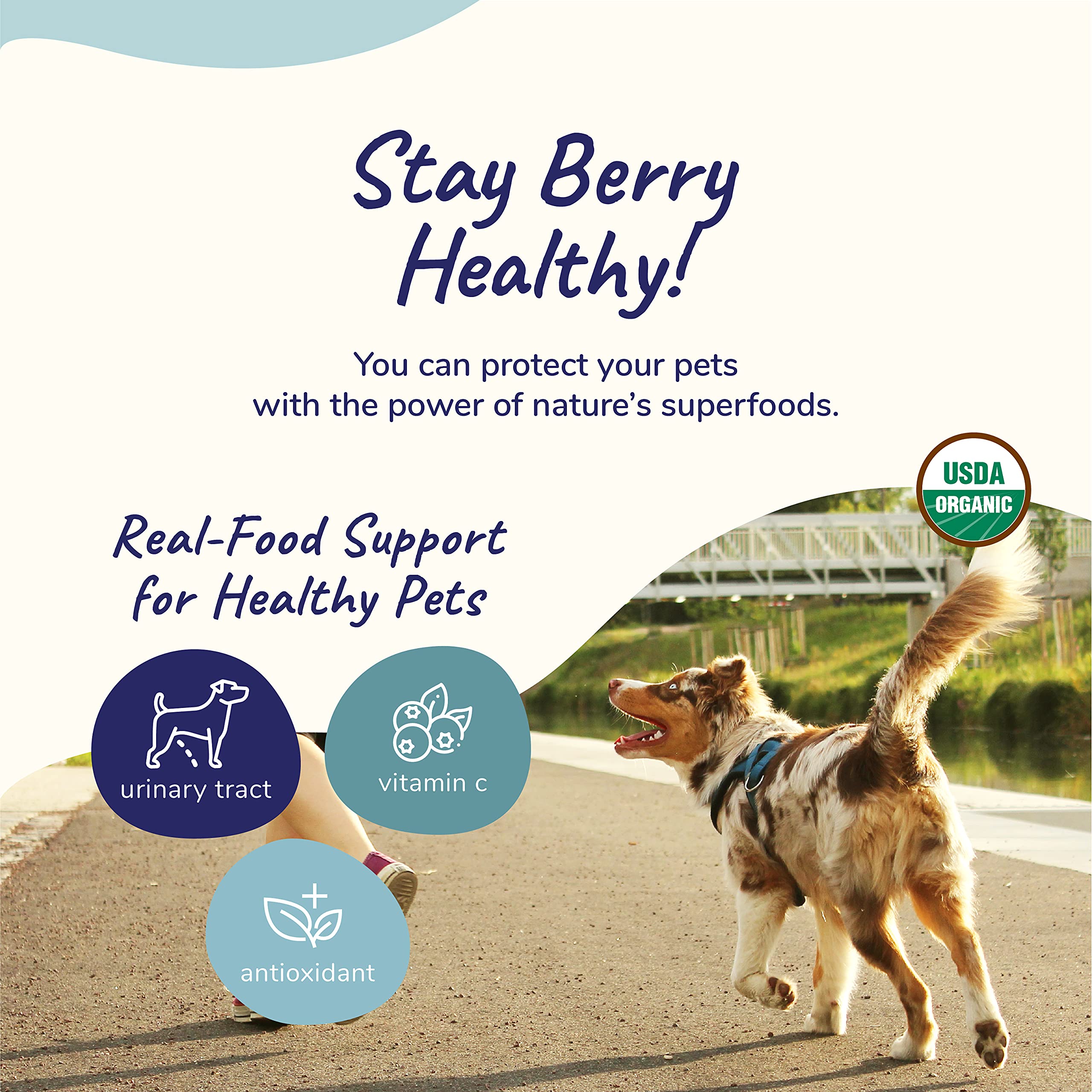kin+kind Natural Cranberry Supplement Powder for Dogs&Cats - Boost Healthy Immunity and Bladder Support with Organic Formula - Organic Cranberry, Blueberry and Coconut - Small 4oz - Made in USA