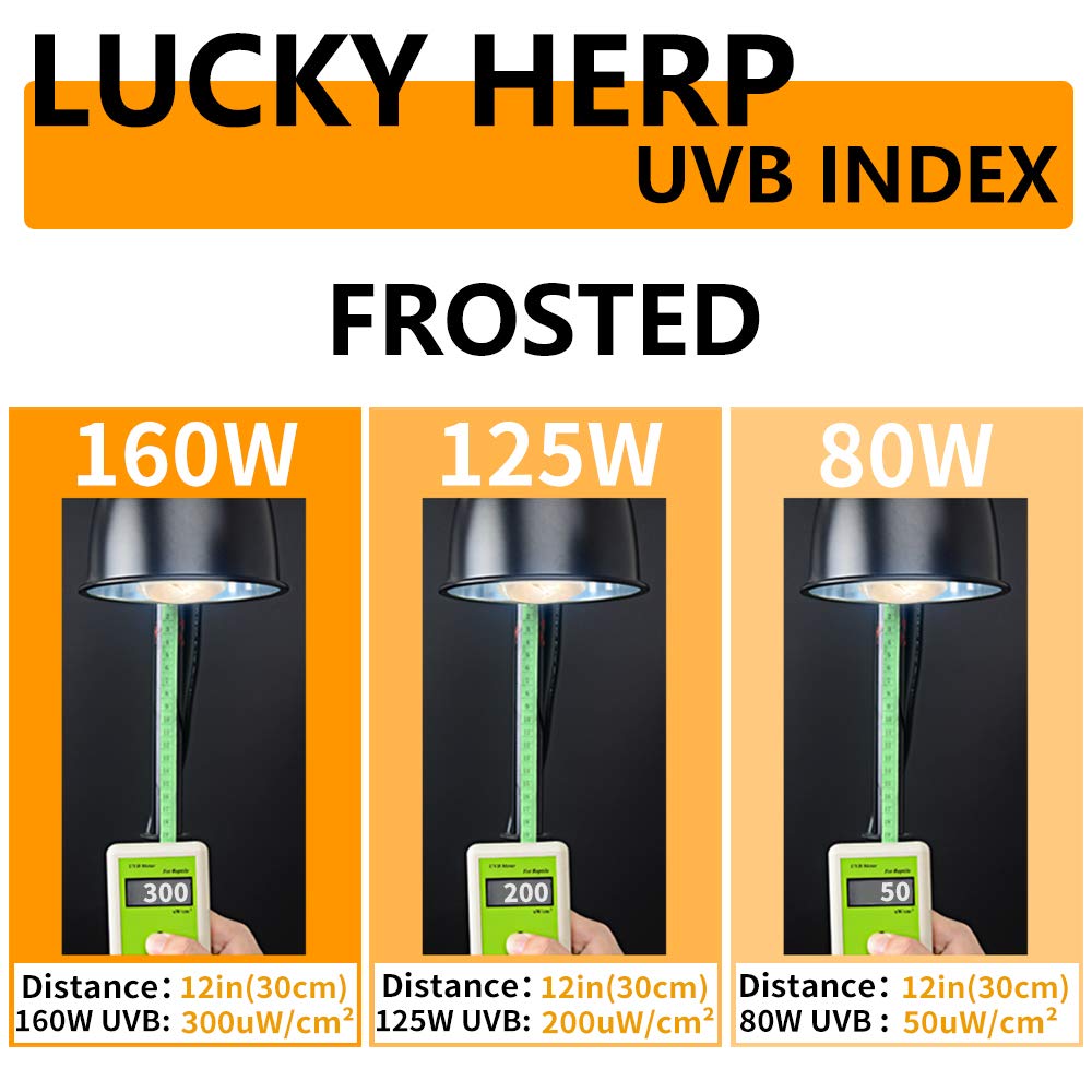 LUCKY HERP 80 Watt UVA+UVB Vapor Heat Lamp Bulb, High Intensity Self-Ballasted Heat Basking Lamp/Bulb/Light for Reptile and Amphibian, Sun Lamp for Bearded Dragon Lizard Turtle