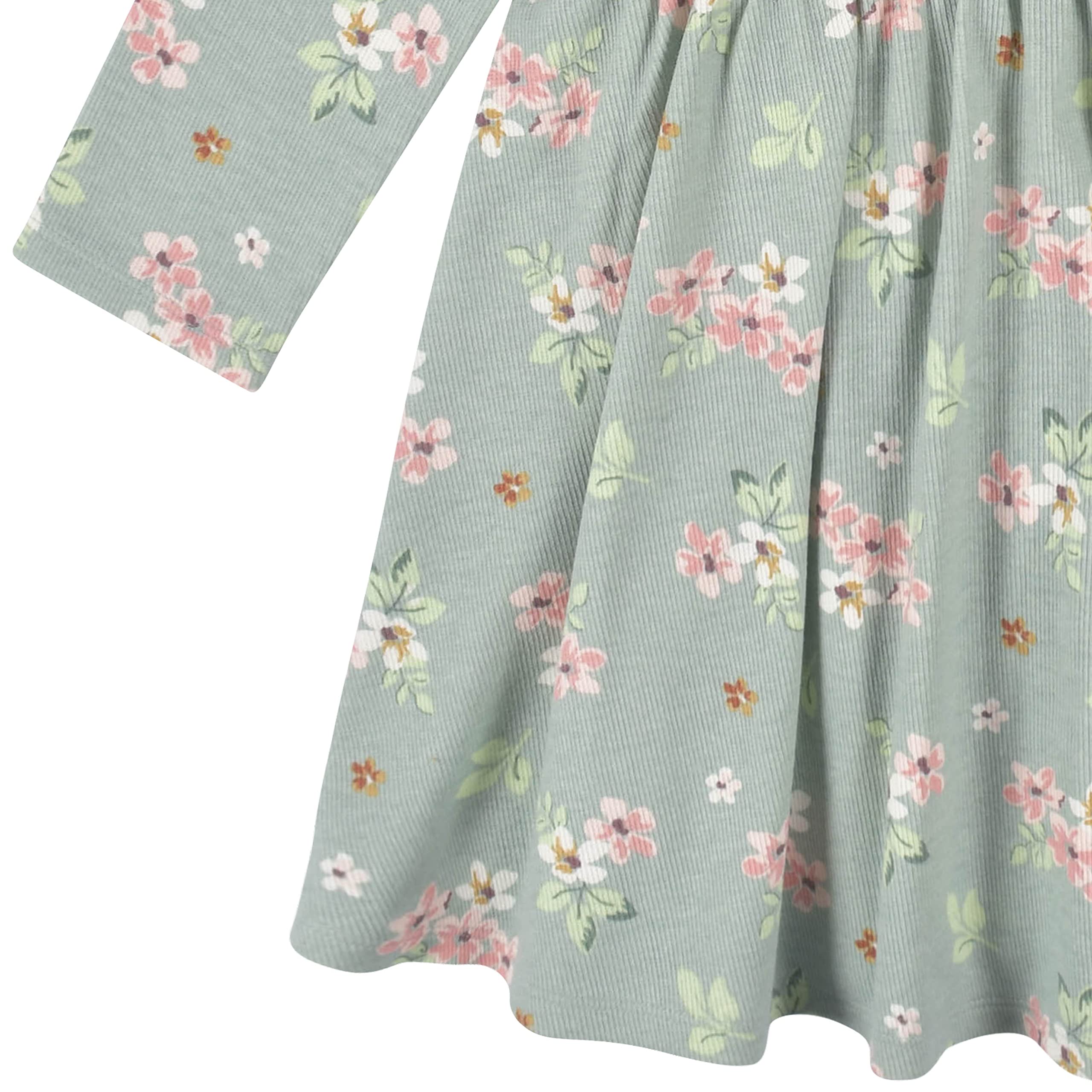 Gerber Baby Girls' Toddler 2-Pack Long Sleeve Dresses, Vanilla & Green Floral, 2T