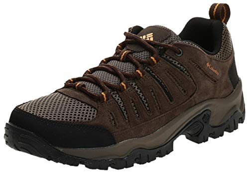 Columbia Men's Lakeview II Low, Cordovan/Mud, 10