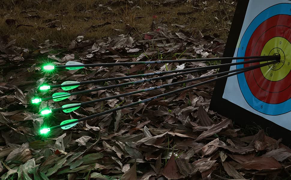 DEEPOWER 100% Carbon Arrows 31 inch with 6.2mm Lighted Nocks 100Grain Broadheads 6 Pack Spine 350/400/500 with Removable Tips for Compound Bow and Recurve Bow