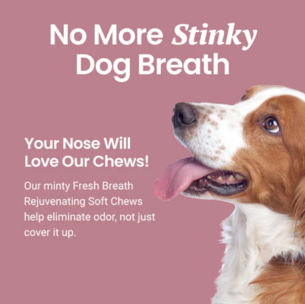 HolistaPet Fresh Breath Soft Chews, Freshen Your Pups Breath with a Heart Shaped Soft Chew, 30 Chews Per Bag (Original)