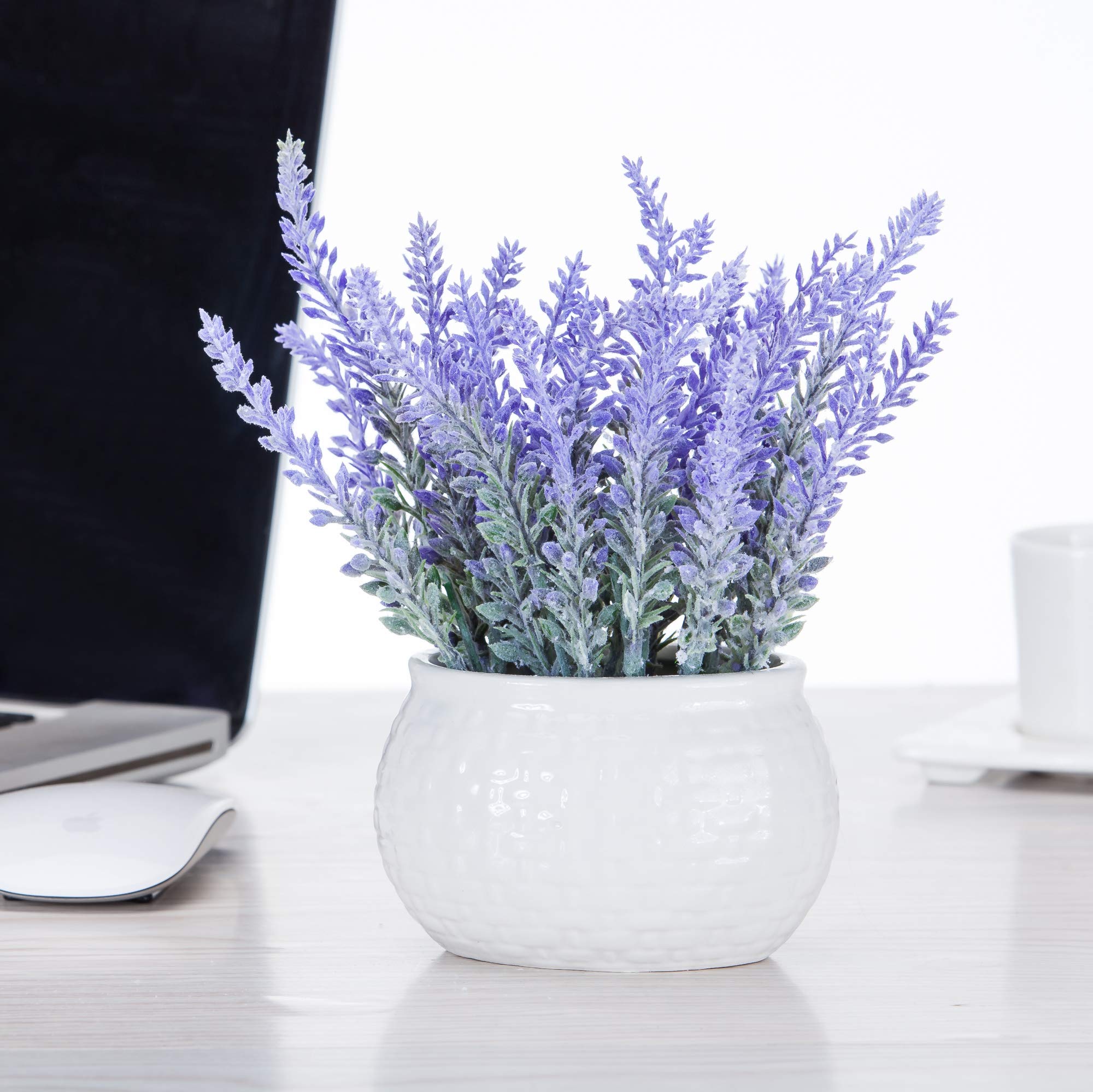 chuangxindaye Artificial Mini Potted Flowers Plant Lavender for Home Decor Party Wedding Garden Office Patio Decoration (Ceramics 2set)
