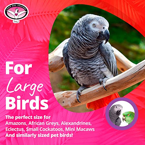 Super Bird Creations SB399 Woodpile Bird Toy, Large Bird Size, 11β x 7β x 7β