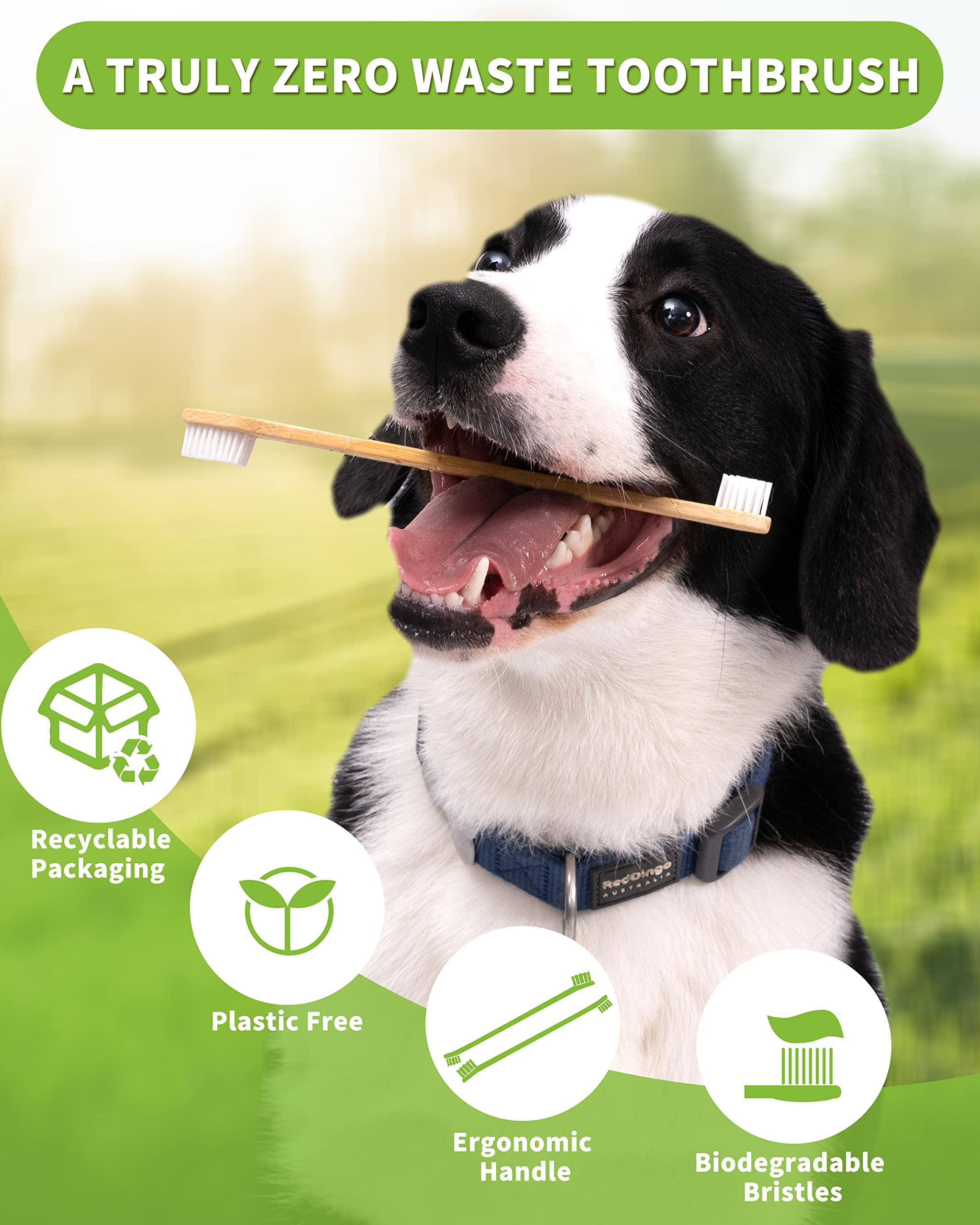 Lingtoolator Toothbrush - 6 Pack Bamboo Toothbrush for Dogs Cats - Soft Bristles - Gentle Pet Toothbrush for Easy Dog Teeth Brushing Den