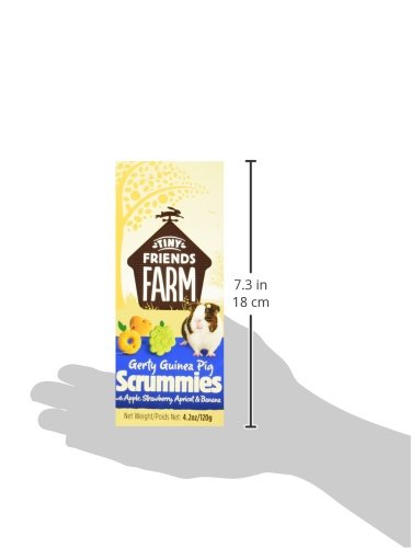 Supreme Gerty Scrummies Apple Strawberry Healthy Baked Bites For Guinea Pig 4.2Z