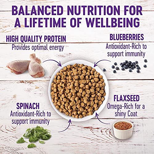Wellness Complete Health Toy Breed Dry Dog Food with Grains, Chicken & Rice, 4-Pound Bag