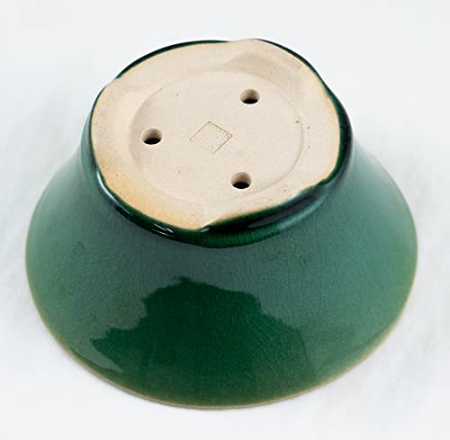 Fine Round Green Glazed Cactus & Succulent Planter, Shohin Bonsai Pot + Mesh - 5.25"x 5.25"x 2.5"