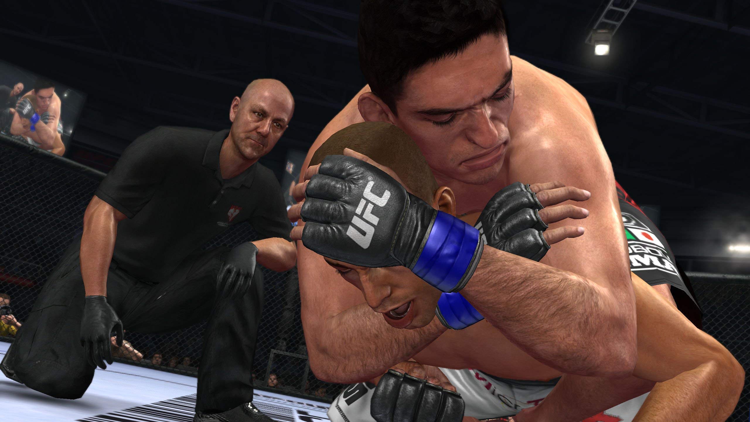UFC Undisputed 2010 - Playstation 3 (Renewed)