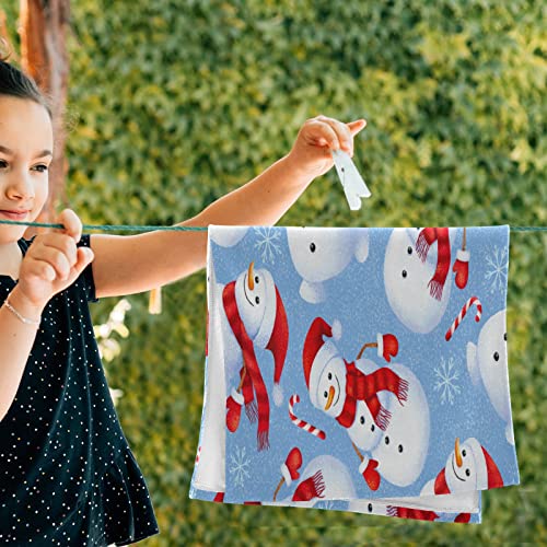 Christmas Snowman Dish Towels for Kitchen Set 2 Piece Microfiber Dish Cloths for Drying Dishes,Absorbent Kitchen Towels Christmas Snowman Tea Towels,3