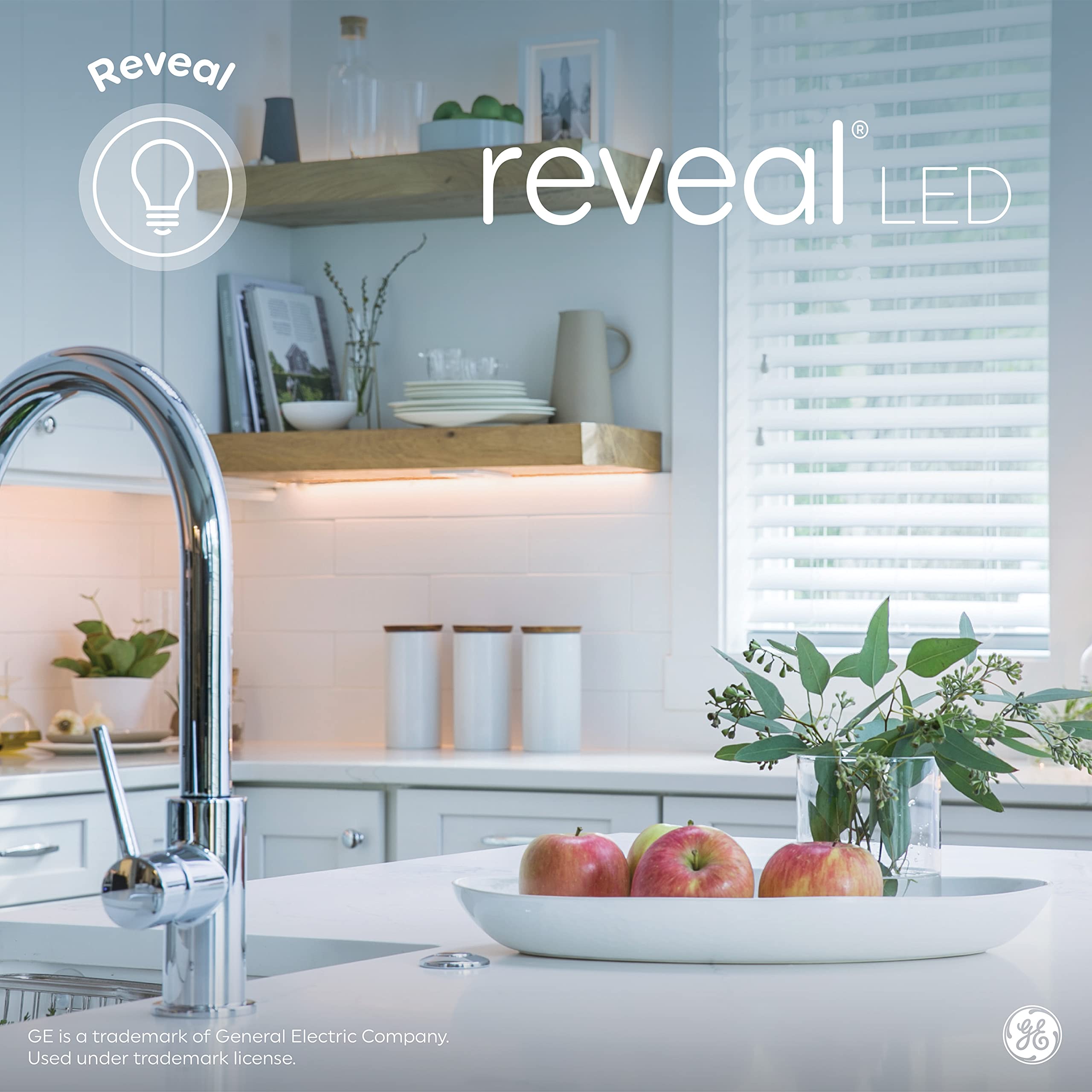 GE Reveal Light Bulbs, 40 Watt, A15 Ceiling Fan Bulbs, Medium Base (2 Pack)