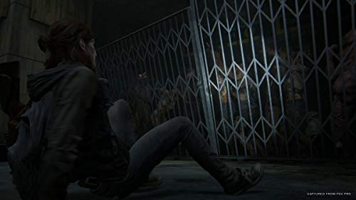 The Last of Us Part II - Special Edition (PS4)