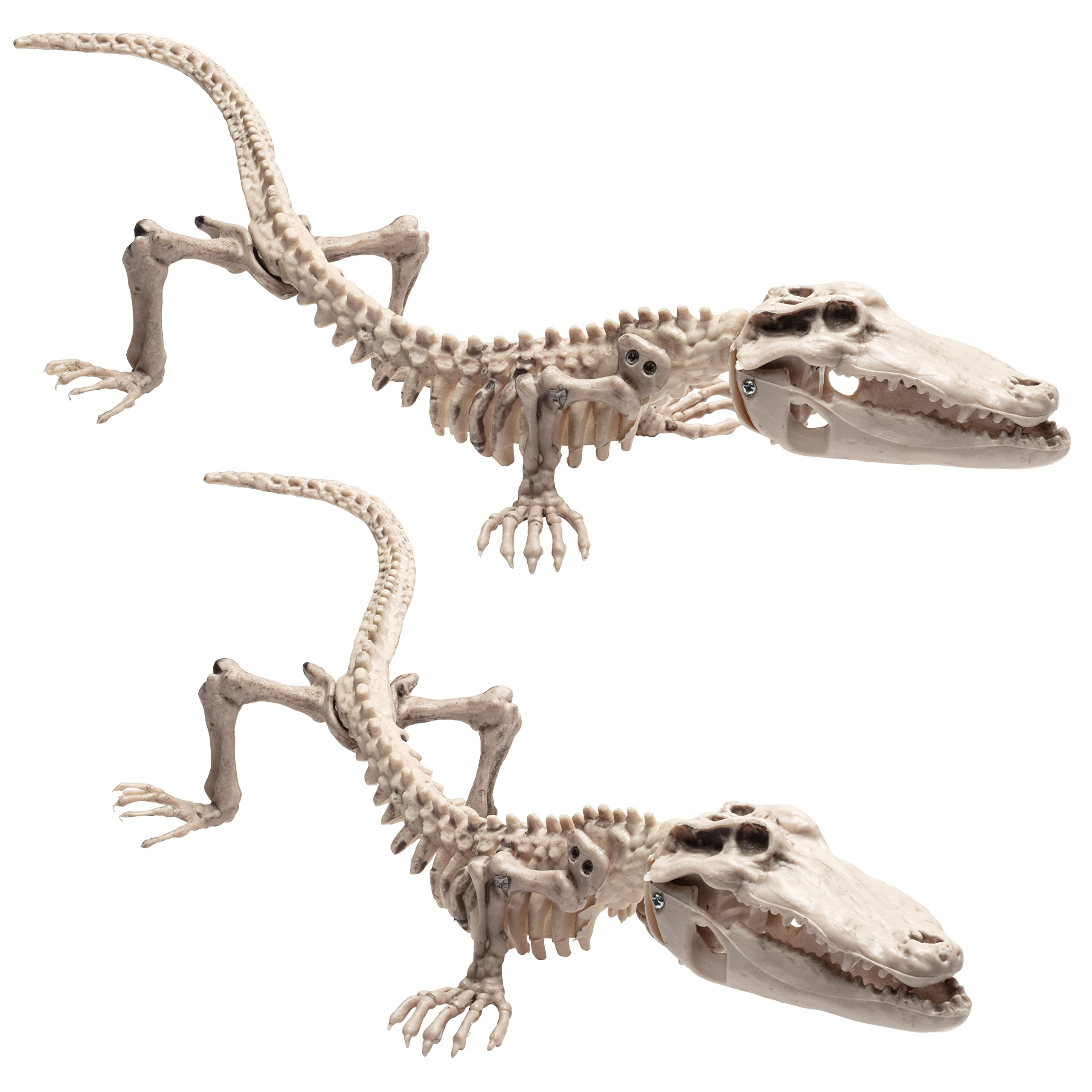 Crocodile Skeleton Halloween Decoration (2 Pack) 20" Long- Weather Resistant for Indoor Outdoor Use- Animal Decor for School Projects, Classrooms, Science Fairs- Fun & Educational Fall Party Prop