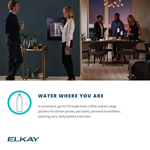 Elkay LBWD00BKC ezH2O Liv Built-in Filtered Water Dispenser, Non-refrigerated, Midnight