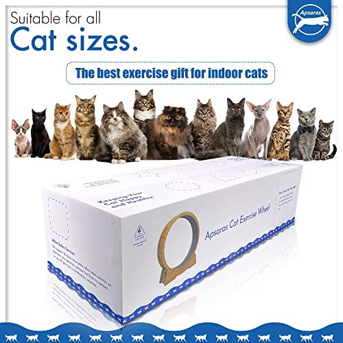 HYPULY Cat Exercise Wheel for Indoor Cats, Large 42.5 Inch Cat Treadmill Exerciser for Fitness and Healthy, Suitable for Most Cats