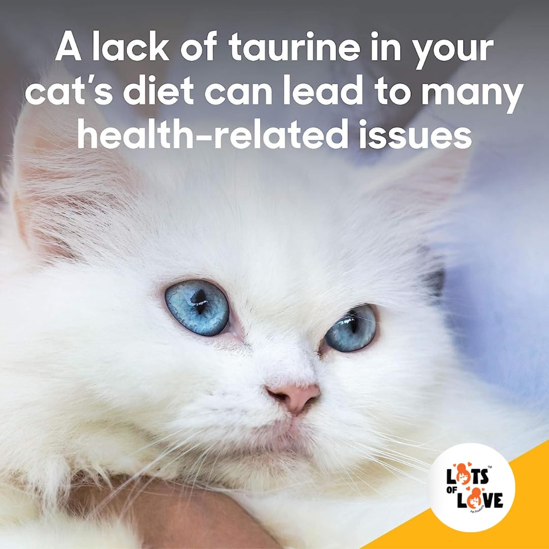 FELO Taurine - Taurine Supplement for Cats, Taurine for Cats, Taurine Powder for Cat - 16 Oz, Powder (Thomas Pet Earlier)