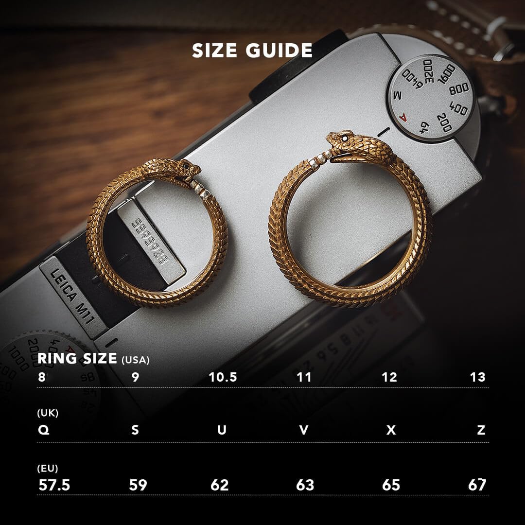 COPPERTIST.WU Ouroboros Ring Brass Snake Serpent Rings Aesthetic Jewelry Gift for Men Women (10.5)