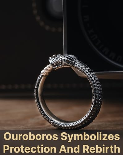 COPPERTIST.WU Ouroboros Ring 925 Sterling Silver Snake Serpent Rings Aesthetic Halloween Jewelry Gift for Women Men (9)