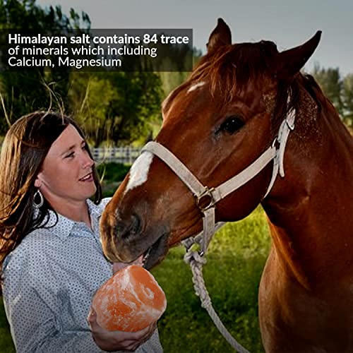 Himalayan Nature Horse Rock Salt, Animal Lick Salt - 8lbs, Elk