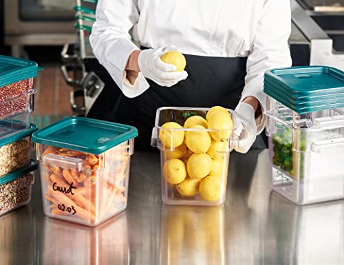 CURTA 4 Pack Food Storage Container with Green Lid - NSF Commercial Grade in 4.0 Qt - Square, Clear, Polycarbonate