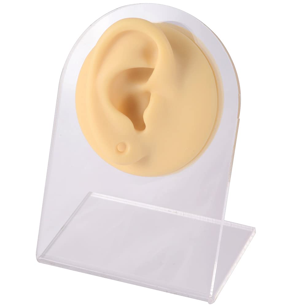 CHUANCI 1pc-2pcs Soft Silicone Fresh Color Flexible Model Ear Displays for Acupuncture Human Model Simulation for Ear Taper Ear Gauge Display Teaching Tool (One Pair Left+Right with Display)