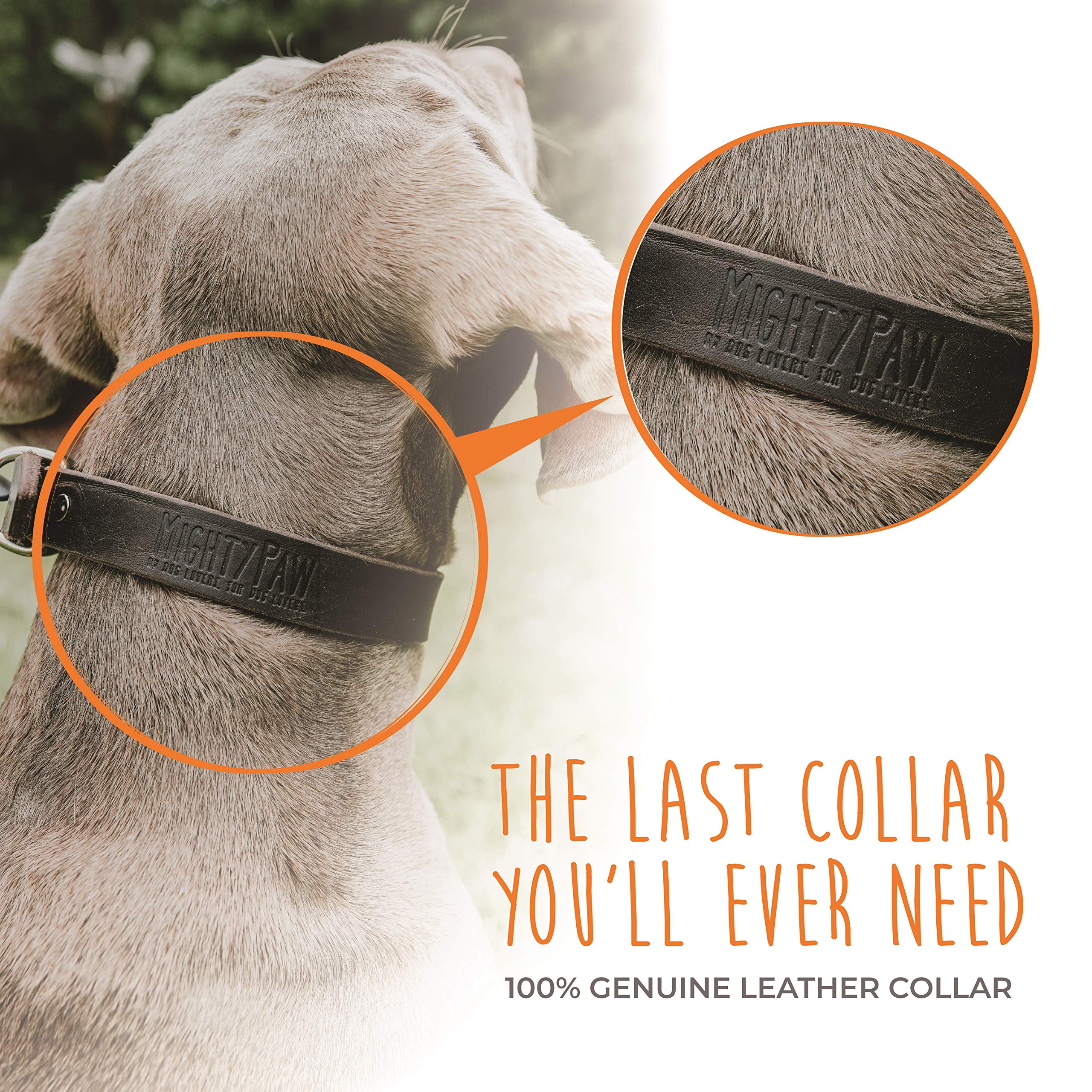 Mighty Paw Martingale Dog Collar - No Pull Design - Stainless Steel Chain - Limited Chain Cinch Training - Dog Collar Leather Martingale - Brown Leather Martingale Training Collar - Large Size Collar