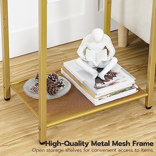 HOOBRO End Tables Set of 2, Side Table with Charging Station, 2-Tier Nightstands with Storage Shelves, Small Space Bedside Table, Telephone Table, Tempered Glass, Living Room, Gold GD56UBZP201