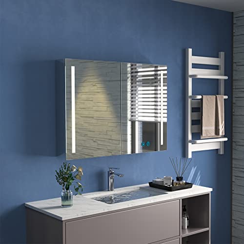 Seenvlog Medicine Cabinet with Lights,LED Medicine Cabinet for Bathroom with Defogger,Dimmer,Memory Function,2 Doors,23.62"* 31.5"Lighted Medicine Cabinet,Surface Mount, Stainless Steel