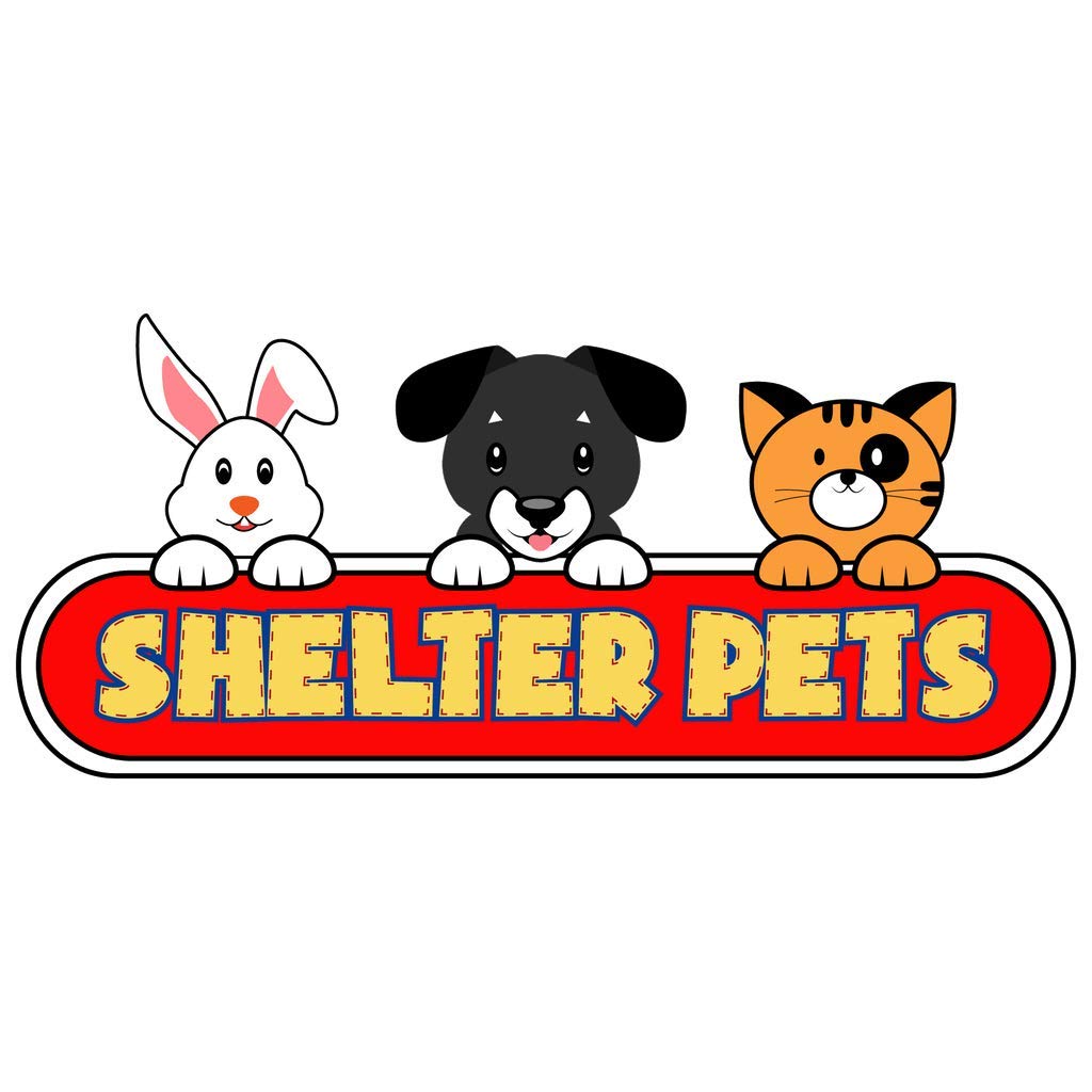 Shelter Pets 10" Grey Pitbull Plush Toy: Magnum - Real-Life Adopted American Staffordshire Terrier - Supports Animal Shelters