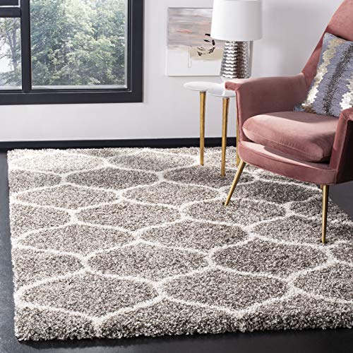 SAFAVIEH Hudson Shag Collection Accent Rug - 4' x 6', Grey & Ivory, Trellis Design, Non-Shedding & Easy Care, 2-inch Thick Ideal for High Traffic Areas in Entryway, Living Room, Bedroom (SGH280B)