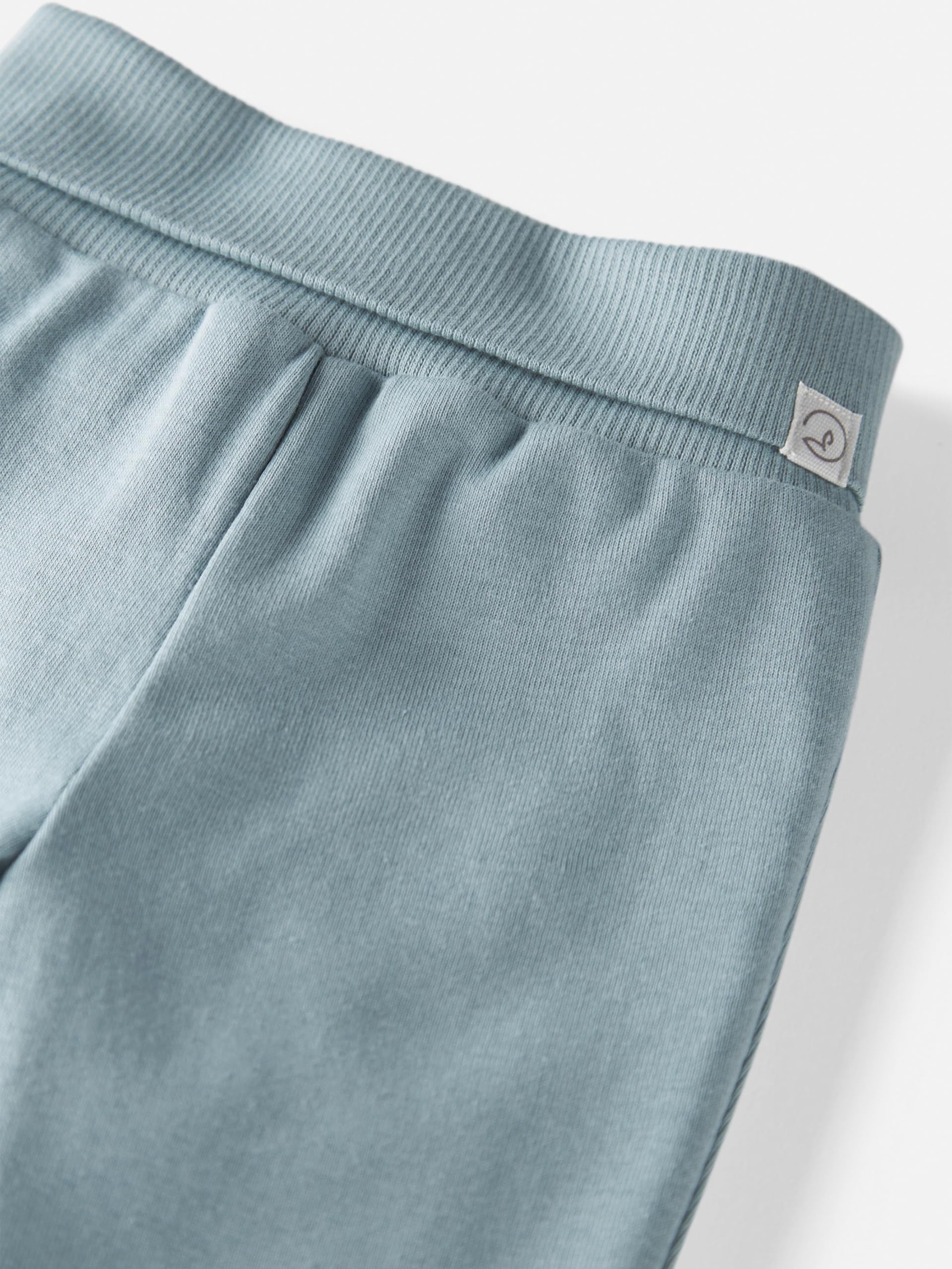 little planet by carter's unisex-baby 2-pack Terry Pants made with Organic Cotton, Meadow/Charcoal, 9 Months