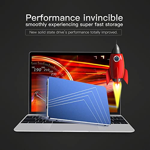 Giuioy 2.5Inch Mobile High-Speed Solid State Drive, Portable Laptop Internal Solid State Drive, for Laptop, Desktop PC, Anti-Shock and Anti-Drop