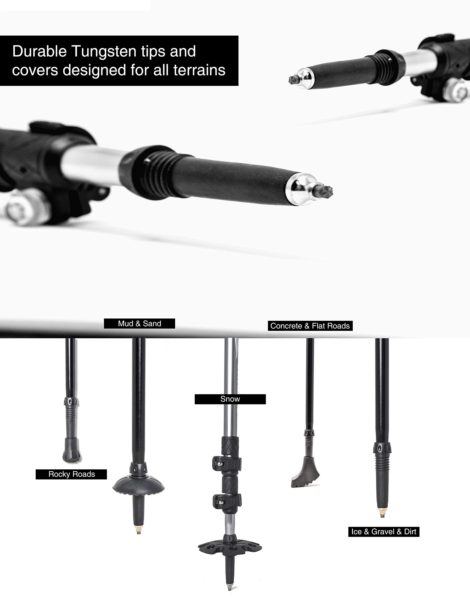 CAMMPO Trekking Poles Collapsible - Hiking Poles - Lightweight Aluminum 7075 - Walking Sticks (2-pc) w/Tungsten Tip, Flip-Lock System & Cork Grip
