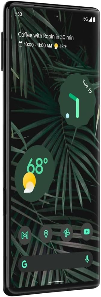 Google Pixel 6 Pro - 5G Android Phone - Unlocked Smartphone with Advanced Pixel Camera and Telephoto Lens - 128GB - Stormy Black (Renewed)