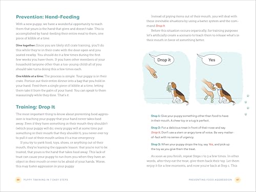 Puppy Training in 7 Easy Steps: Everything You Need to Know to Raise the Perfect Dog